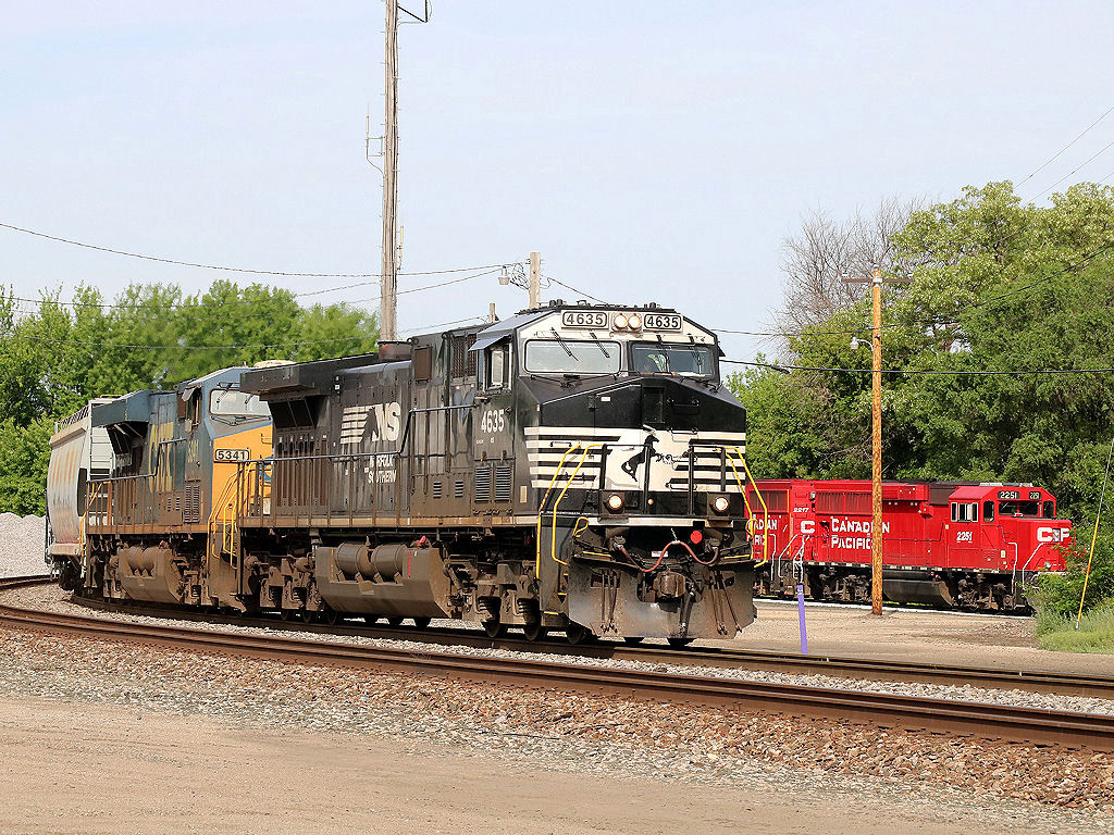 NS 4635